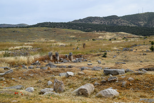 Paleocontact bilder – Bläddra bland 488 stockfoton, vektorer och videor ...
