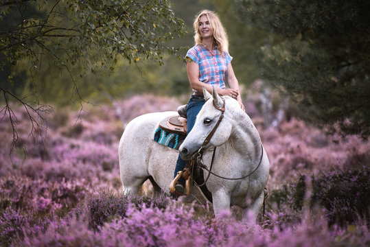 Westernpferd Images – Browse 1,390 Stock Photos, Vectors, and Video ...