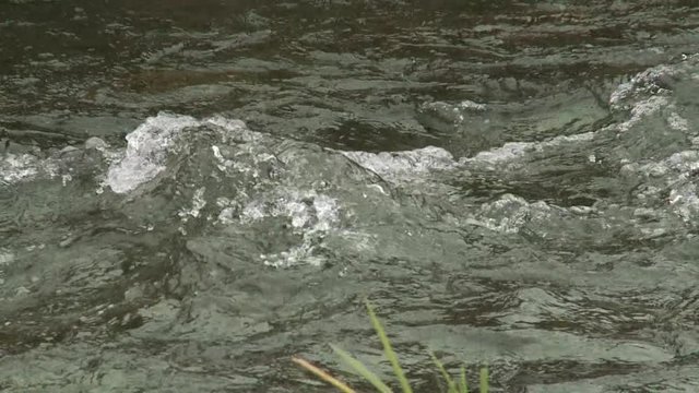 รูปภาพCaudal – เลือกดูภาพถ่ายสต็อก เวกเตอร์ และวิดีโอ4,416 | Adobe Stock