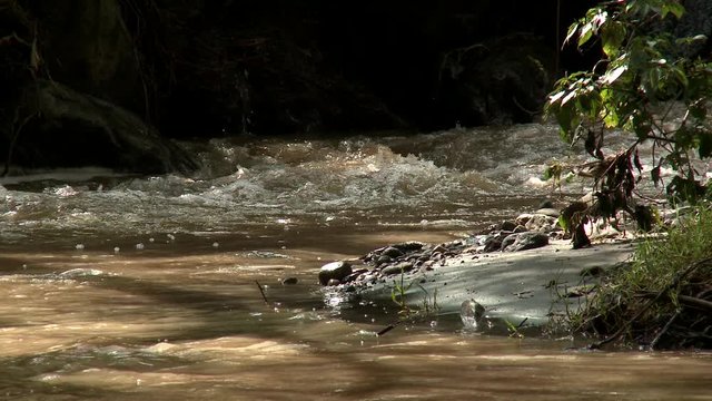 รูปภาพCaudal – เลือกดูภาพถ่ายสต็อก เวกเตอร์ และวิดีโอ7,187 | Adobe Stock