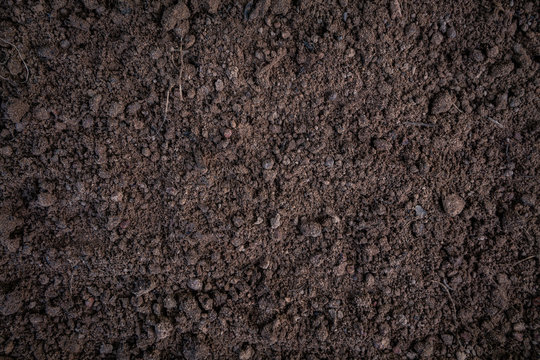 Free Soil Images – Browse 9,514 Free Stock Photos, Vectors, and Video ...