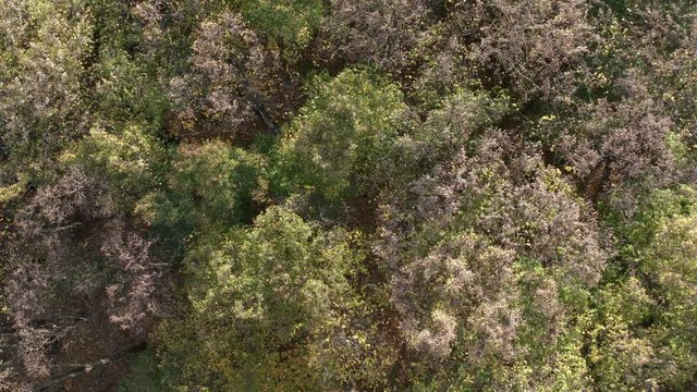 Accending Bilder – Durchsuchen 84 Archivfotos, Vektorgrafiken und ...