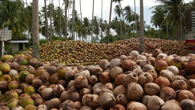 "Coconut Pulp" Images – Browse 627 Stock Photos, Vectors, and Video ...