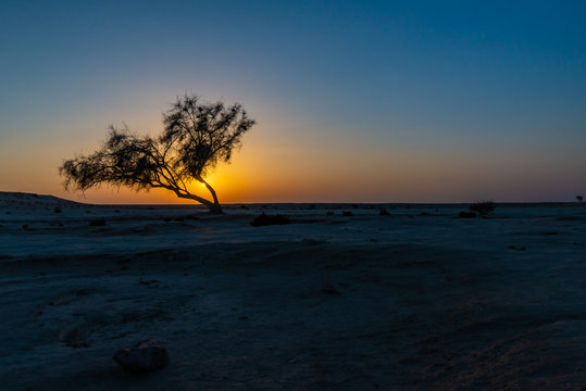 รูปภาพGhaf – เลือกดูภาพถ่ายสต็อก เวกเตอร์ และวิดีโอ238 | Adobe Stock