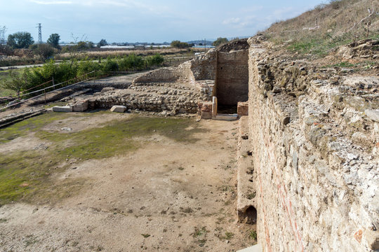 「Thracia」の写真素材 | 1,283件の無料イラスト画像 | Adobe Stock