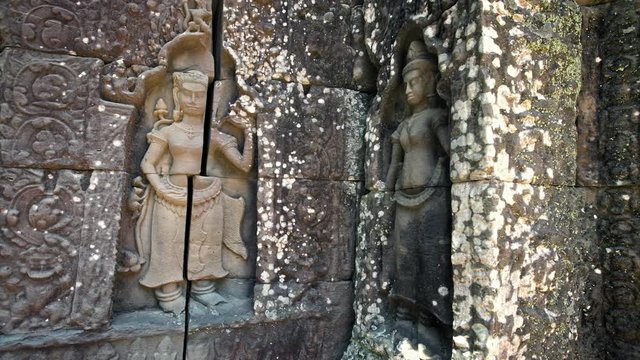 Aspara Images – Browse 255 Stock Photos, Vectors, and Video | Adobe Stock