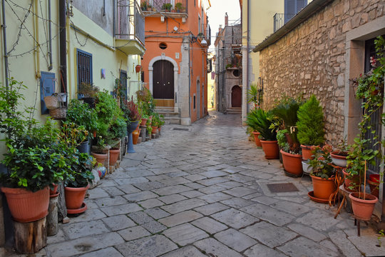 Venosa Images – Browse 1,189 Stock Photos, Vectors, and Video | Adobe Stock