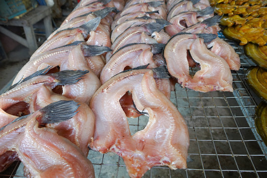 รูปภาพJaadi – เลือกดูภาพถ่ายสต็อก เวกเตอร์ และวิดีโอ171 | Adobe Stock