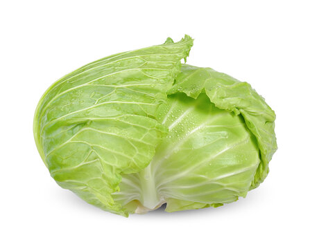 LAS 648,518 MEJORES IMÁGENES, FOTOS DE ARCHIVO Y VECTORES DE Col ...