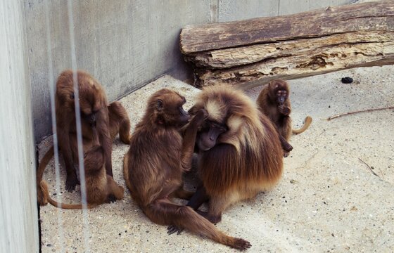 DIE 484 BESTEN BILDER, STOCK-FOTOS UND -VEKTORGRAFIKEN ZU ...