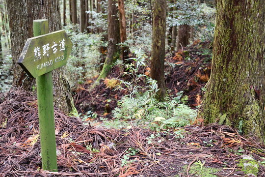 熊野那智大社 Images – Browse 855 Stock Photos, Vectors, and Video | Adobe Stock