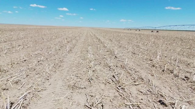 "Dried Up" Images – Browse 63 Stock Photos, Vectors, and Video | Adobe ...