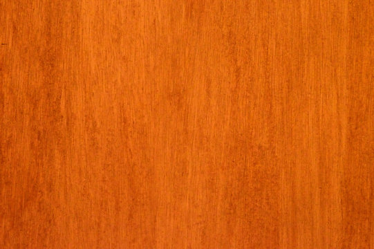 Wood Varnish