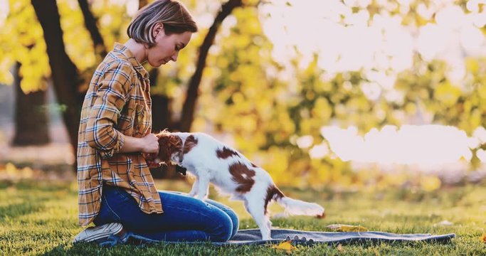 Obrázky "Dog Intelligence" – procházejte fotografie, vektory a videa ...