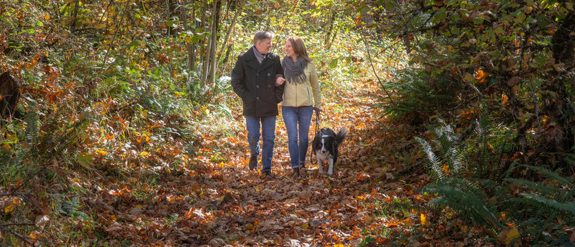 Jamie Hooper photos, images, assets | Adobe Stock