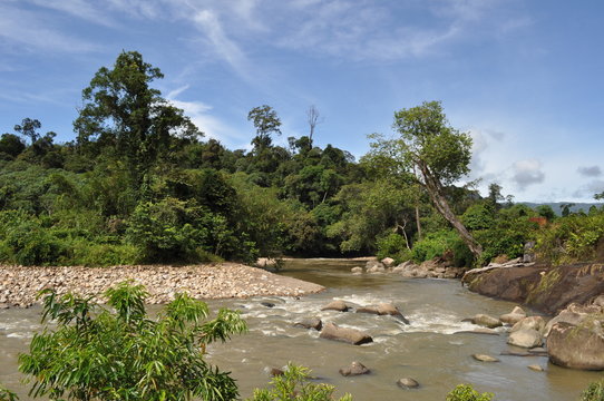 Imagens de Miris – Explore Fotografias do Stock, Vetores e Vídeos de ...