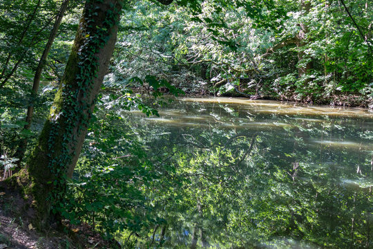 Parthe Bilder – Durchsuchen 29 Archivfotos, Vektorgrafiken und Videos ...