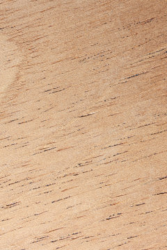 Imágenes de Tropenholz: descubre bancos de fotos, ilustraciones ...