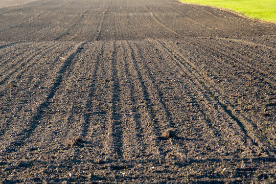 Ackerfurchen Billeder – Gennemse 409 stockfotos, vektorer og videoer ...