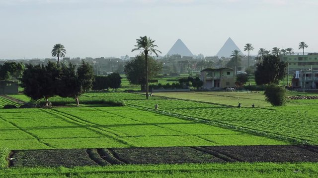 「Faiyum」の写真素材 | 1,787件の無料イラスト画像 | Adobe Stock