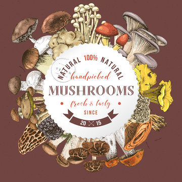 Dried Mushrooms Label