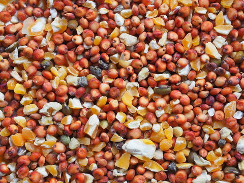 「Ramtil」の画像 - 443 件の Stock 写真、ベクターおよびビデオ | Adobe Stock