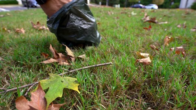 Picking Up Poop Images – Browse 4,227 Stock Photos, Vectors, and Video ...