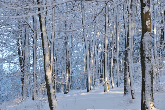 「Schneeverwehungen」の画像 - 399 件の Stock 写真、ベクターおよびビデオ | Adobe Stock