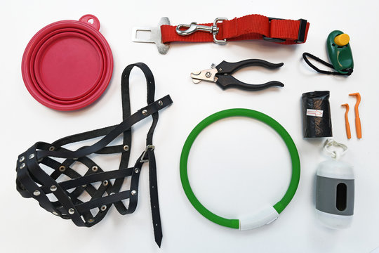 Lederzecke Bilder – Durchsuchen 848 Archivfotos, Vektorgrafiken und ...