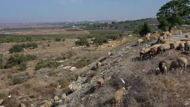 Gaza Images – Browse 5,796 Stock Photos, Vectors, and Video | Adobe Stock