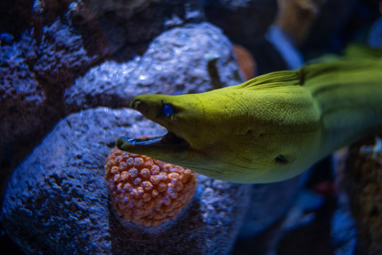 NEJLEPŠÍ (CELKEM 918) OBRÁZKY, FOTKY A VEKTOROVÉ GRAFIKY VE SLUŽBĚ ...