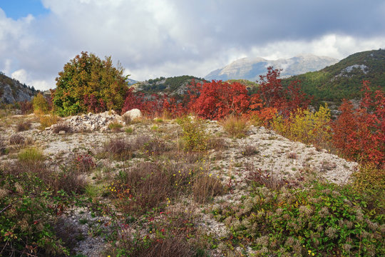 Sitnica Bilder – Durchsuchen 37 Archivfotos, Vektorgrafiken und Videos ...
