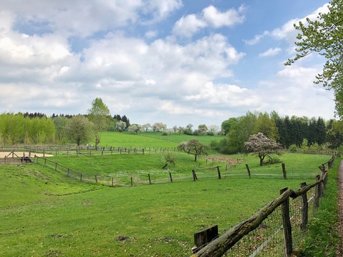 「Extensiv」の画像 - 377 件の Stock 写真、ベクターおよびビデオ | Adobe Stock