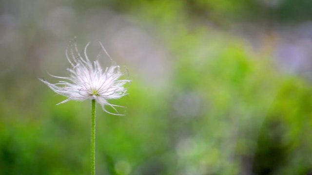 Summere 影像 – 瀏覽 94 個素材庫相片、向量圖和影片 | Adobe Stock
