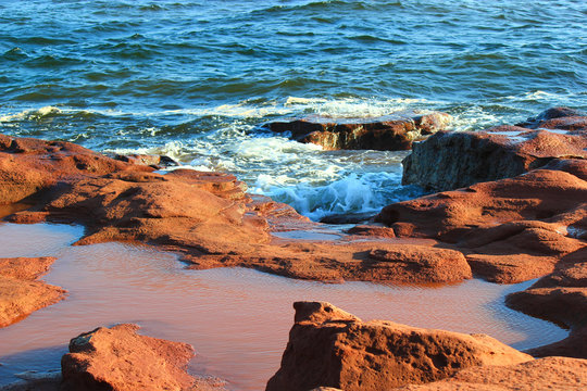 「Shorline」の画像 - 592 件の Stock 写真、ベクターおよびビデオ | Adobe Stock