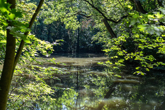 Parthe Bilder – Durchsuchen 29 Archivfotos, Vektorgrafiken und Videos ...