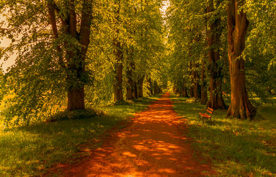 รูปภาพSandweg – เลือกดูภาพถ่ายสต็อก เวกเตอร์ และวิดีโอ1,099 | Adobe Stock