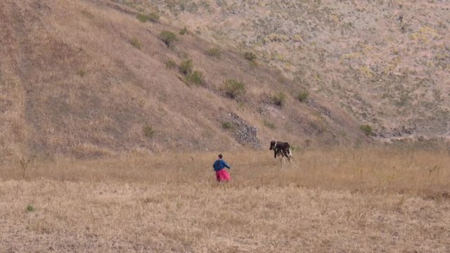 "Quechua Woman" Images – Browse 11 Stock Photos, Vectors, and Video ...
