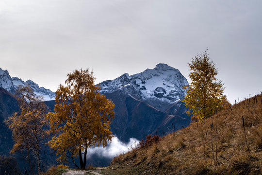 Autonme Images – Browse 59 Stock Photos, Vectors, and Video | Adobe Stock