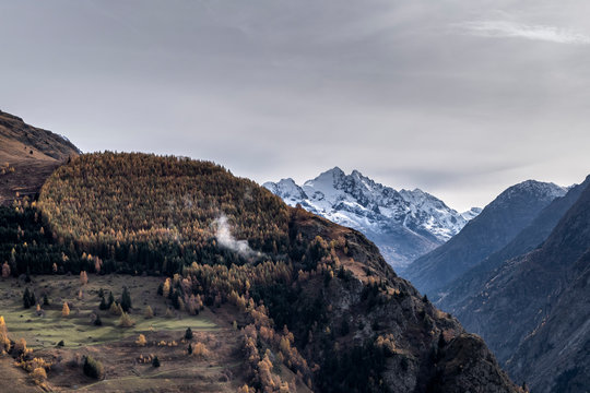 Autonme Images – Browse 59 Stock Photos, Vectors, and Video | Adobe Stock