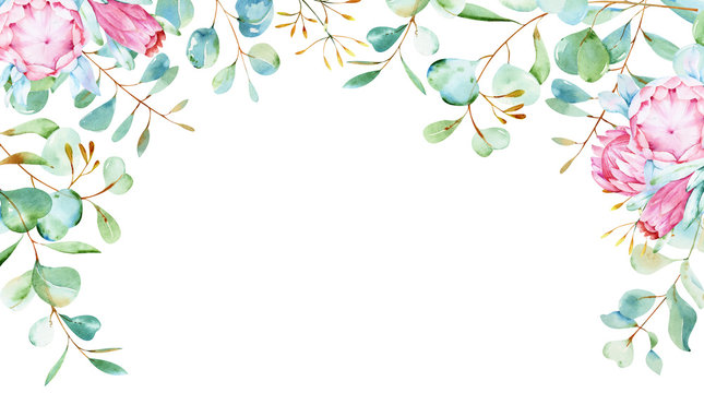 Protea Border Images – Browse 3,255 Stock Photos, Vectors, and Video ...