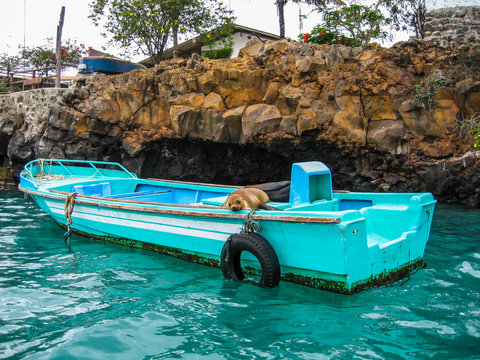 Baot 画像 - 参照 205 Stock 写真、ベクターおよびビデオ | Adobe Stock