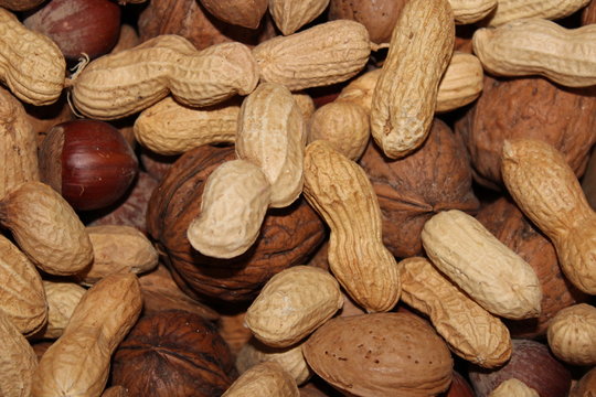 Nussarten Images – Browse 27 Stock Photos, Vectors, and Video | Adobe Stock