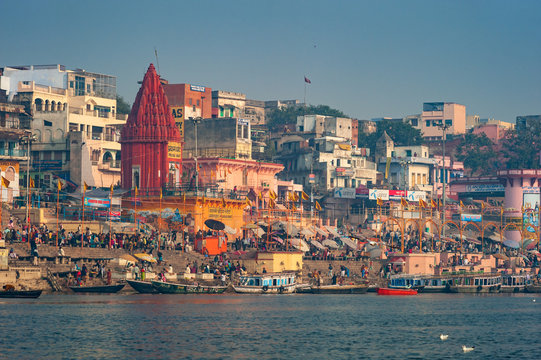 Kashi