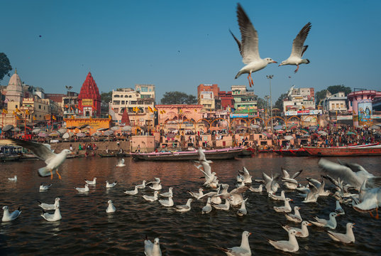 รูปภาพBanaras – เลือกดูภาพถ่ายสต็อก เวกเตอร์ และวิดีโอ1,520 | Adobe Stock