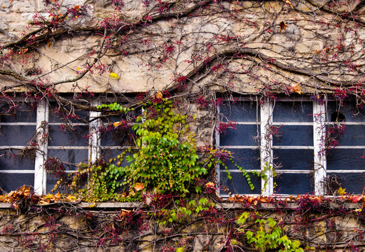 "Cover Over" Imagens – Procure 60 fotos, vetores e vídeos | Adobe Stock