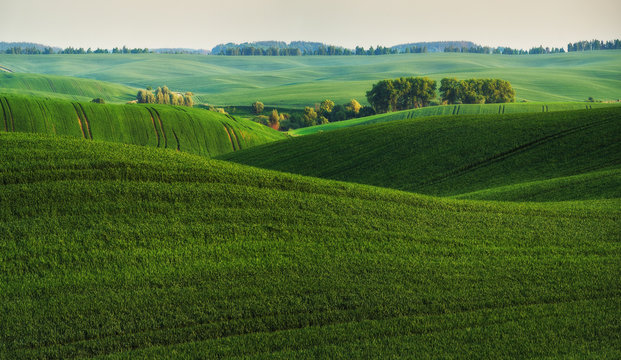 Free Field Images – Browse 24,263 Free Stock Photos, Vectors, and Video ...