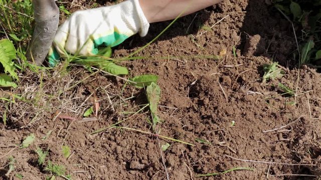 Yard-Work Bilder – Durchsuchen 66 Archivfotos, Vektorgrafiken und ...