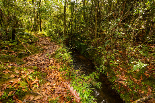 Arvi Images – Browse 881 Stock Photos, Vectors, and Video | Adobe Stock