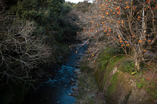 Inured Bilder – Durchsuchen 1,615 Archivfotos, Vektorgrafiken und ...